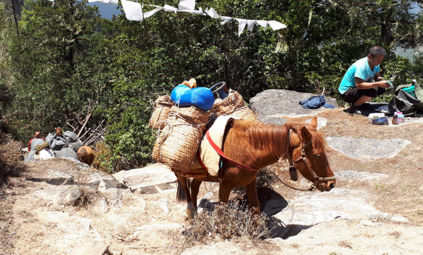 Bumdra Trek | Bhutan Trekking | UTravel Private Tours